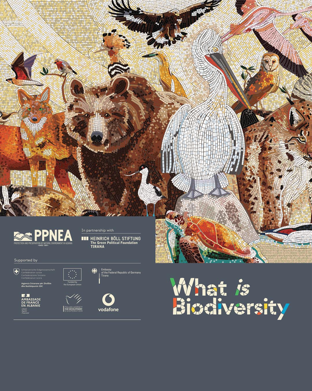 What is biodiversity? | Heinrich Böll Stiftung Tirana | Albania