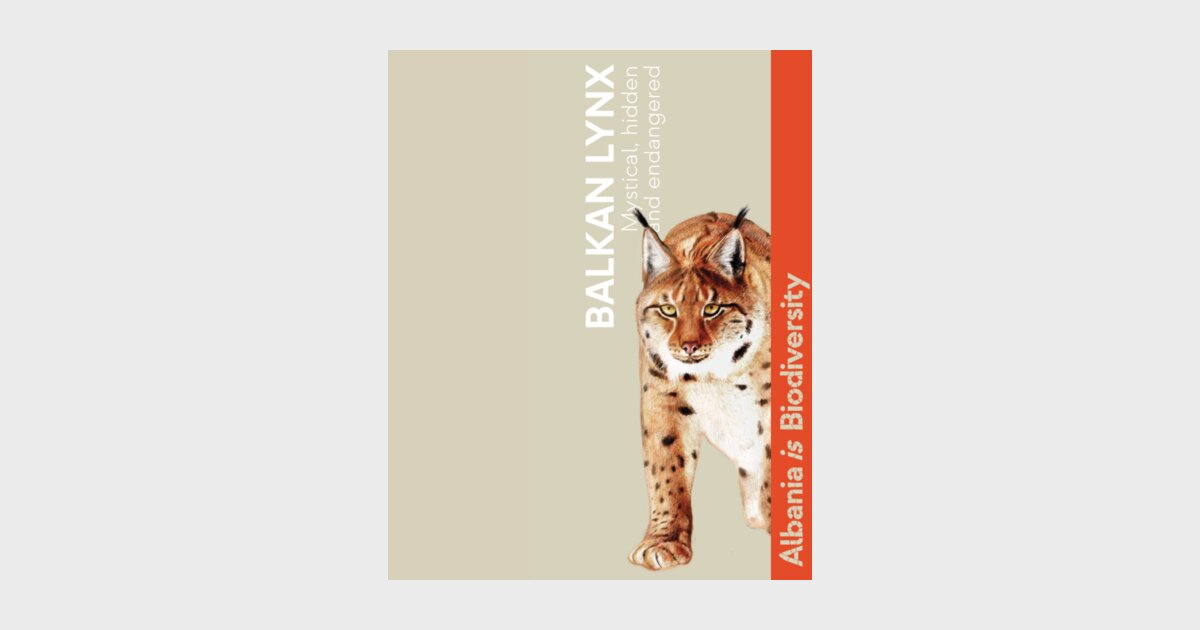 Balkan lynx | Heinrich Böll Stiftung Tirana | Albania